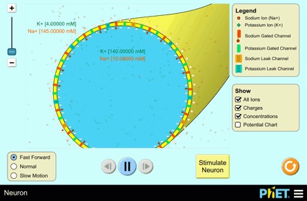 PhET: Des simulations gratuites en physique, chimie, biologie, sciences ...