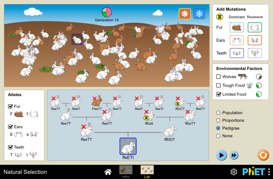 Natural Selection - Mutation | Genetics | Selection - PhET Interactive ...