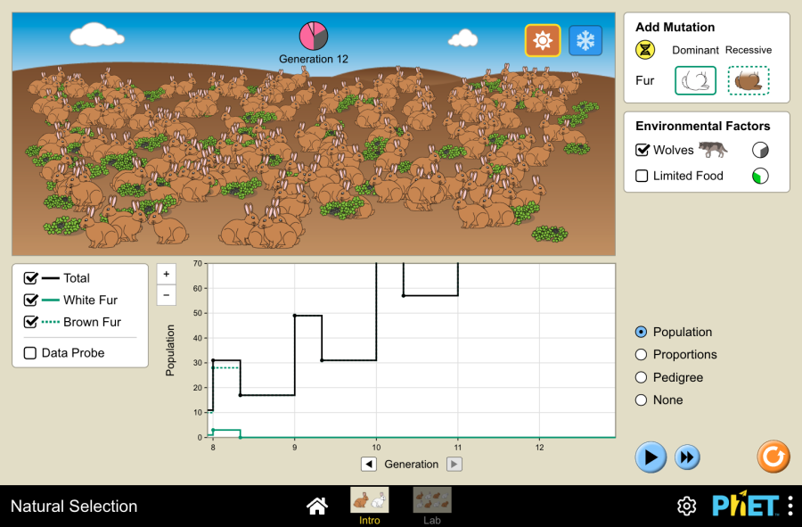Selección Natural - Mutación | Genetics | Selección - Simulaciones ...